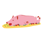 Raw Whole Suckling Pig 5-6kg - Meat Express